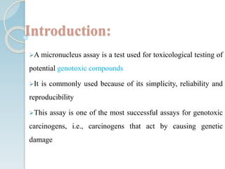 Micronucleus Assay | PPTX