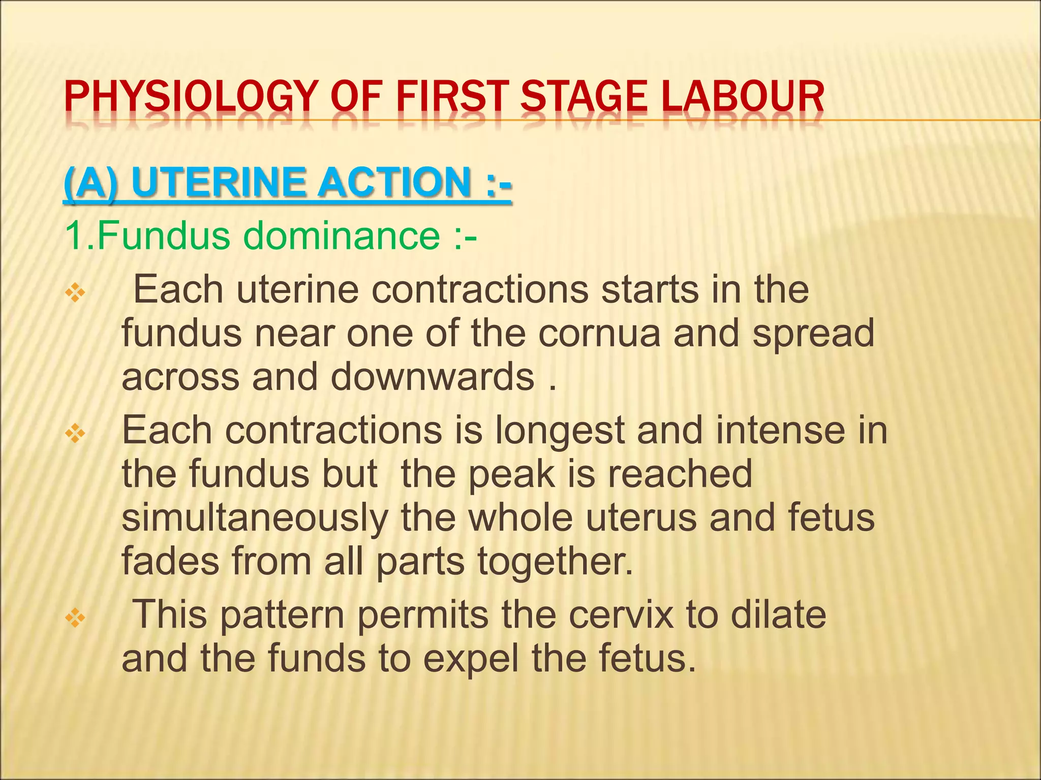 1st stage labor.ppt