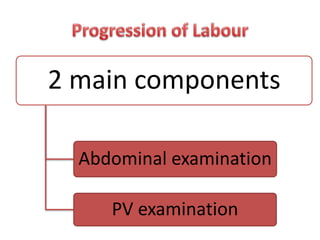 1st stage of labour | PPTX
