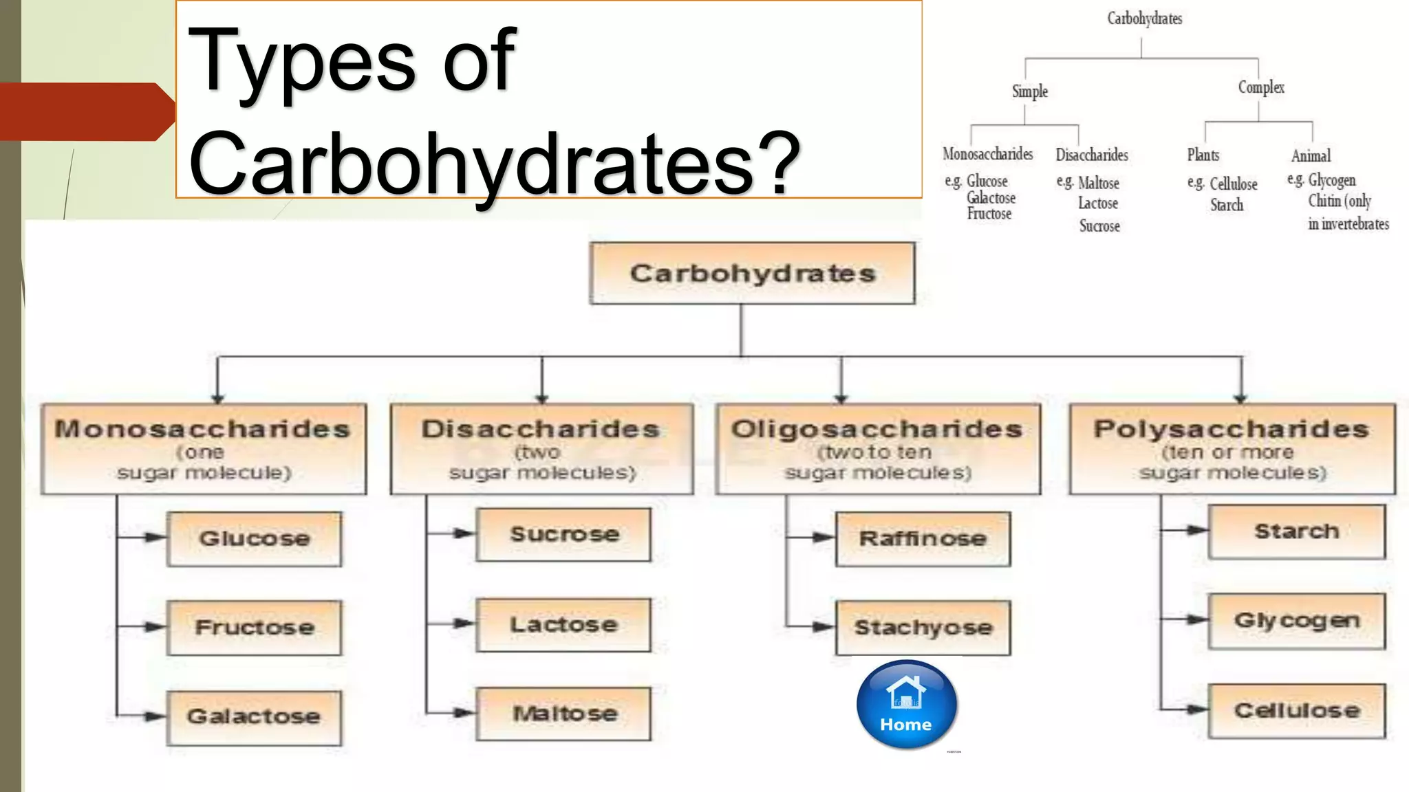 CARBOHYDRATES,STEREOISOMERISM,IMPORTANT COMPOUNDS,REACTIONS,PROPERTIES ...