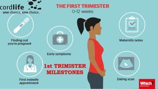 1st Trimester milestones | PPTX