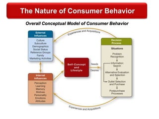 Consumer behavior and Marketing strategy | PPTX