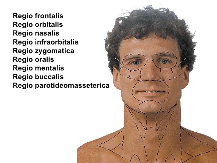 1st week -_digestive_system_i