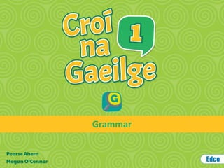 1st year Irish Grammar, Introduction to irish | PPTX