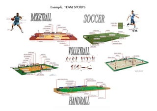 1 st year infographics team sports | DOCX | Sports