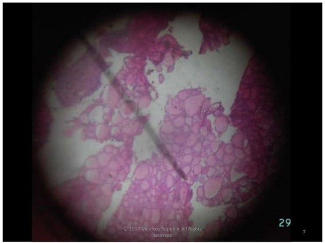 1st Year MBBS Histology Slides and Identification Points (FINAL).pdf ...