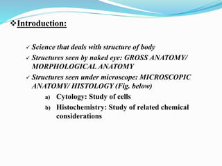 (1) subject of anatomy | PPT