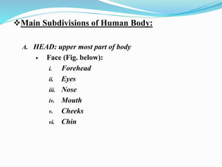 (1) subject of anatomy | PPT