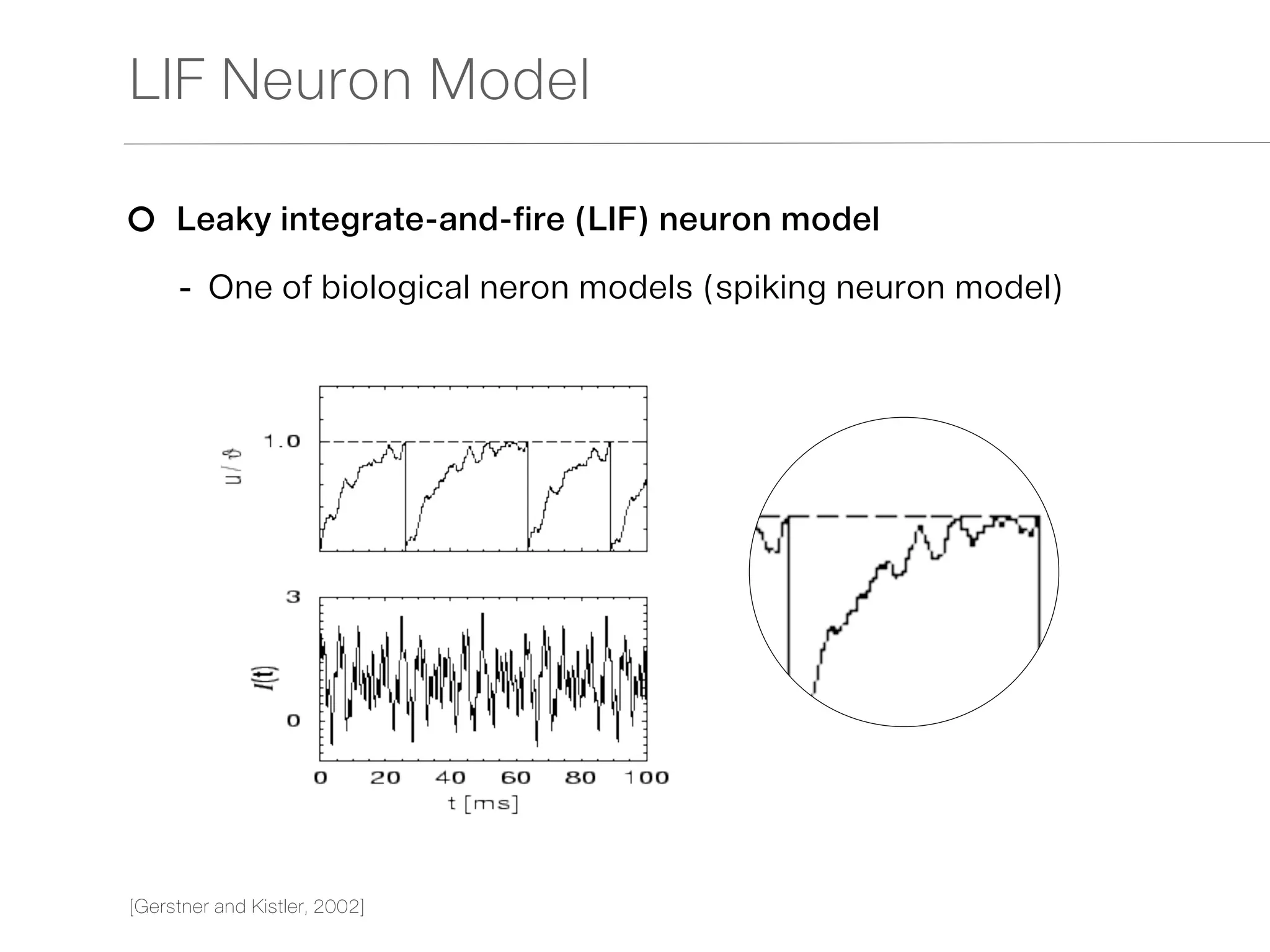 Summary of a neural model of human image categorization | PPT