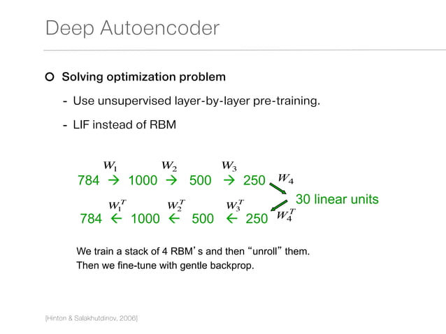 Summary of a neural model of human image categorization | PPT