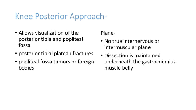 surgerical approach knee | PPT