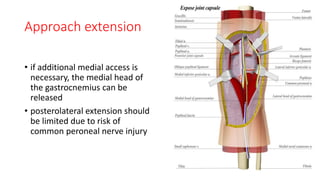 surgerical approach knee | PPT