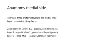 surgerical approach knee | PPT
