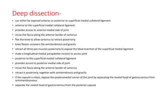 surgerical approach knee | PPT