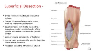 surgerical approach knee | PPT