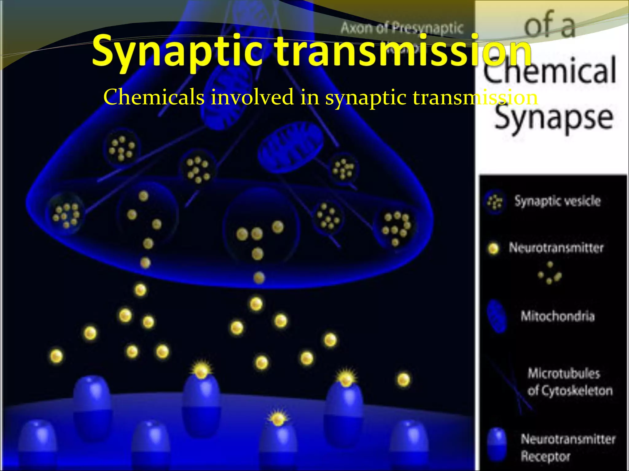 synaptictransmission | PPT