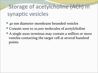 synaptictransmission | PPT