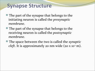 synaptictransmission | PPT