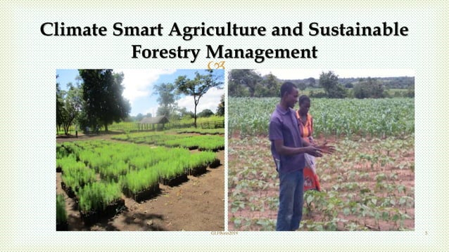 Managing Production Landscapes Sustainability | PPT | Free Download