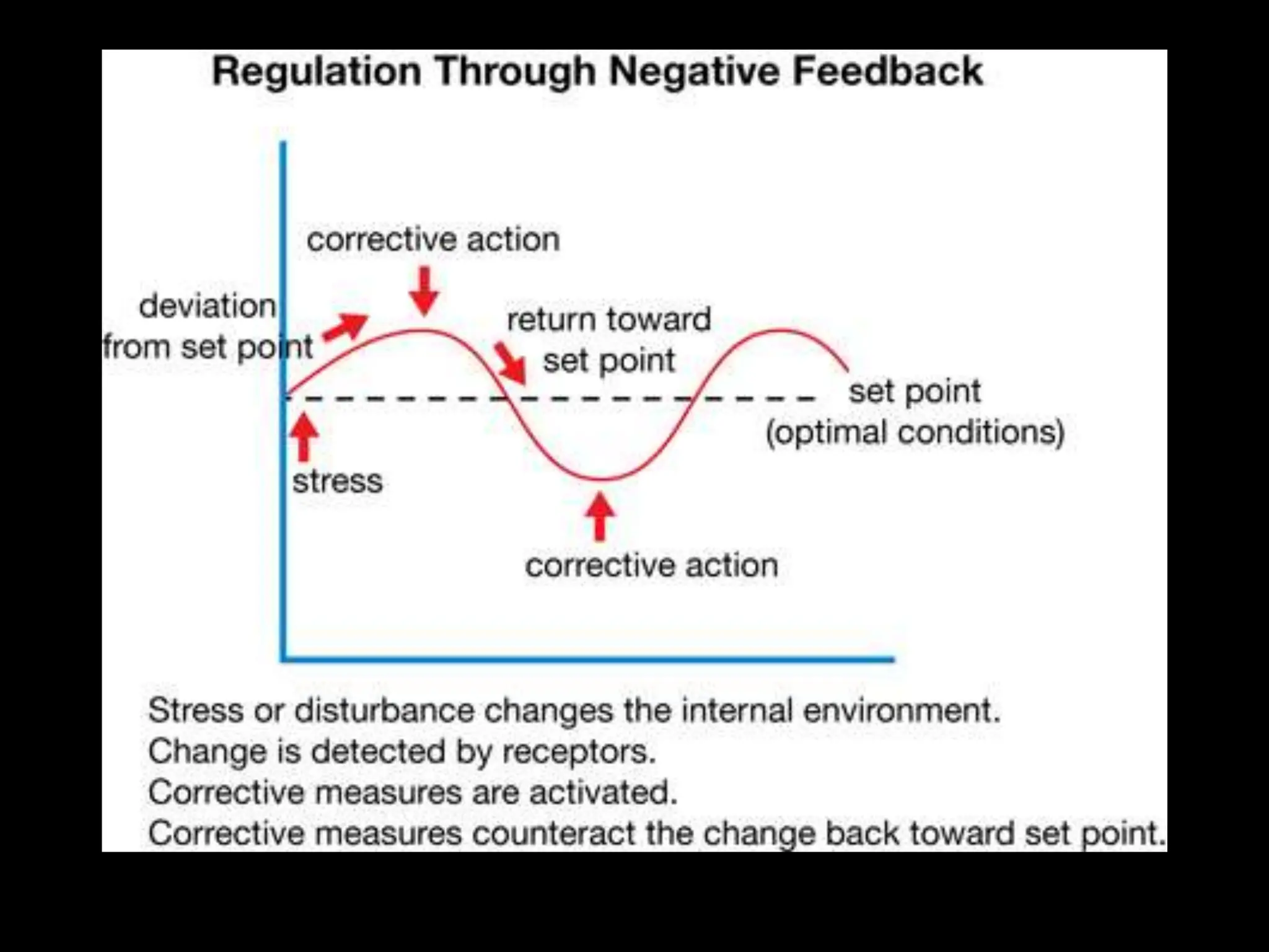 1 Teacher Foundations of ESS Slideshow Revision | PPTX | Physics | Science