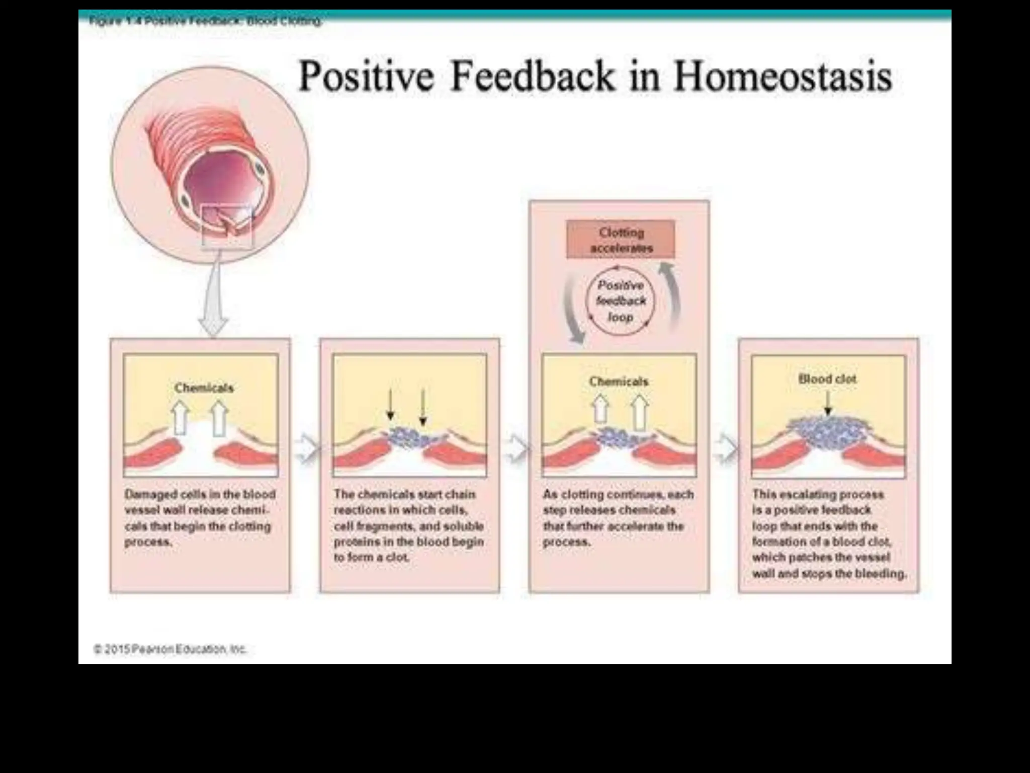 1 Teacher Foundations of ESS Slideshow Revision | PPTX | Physics | Science