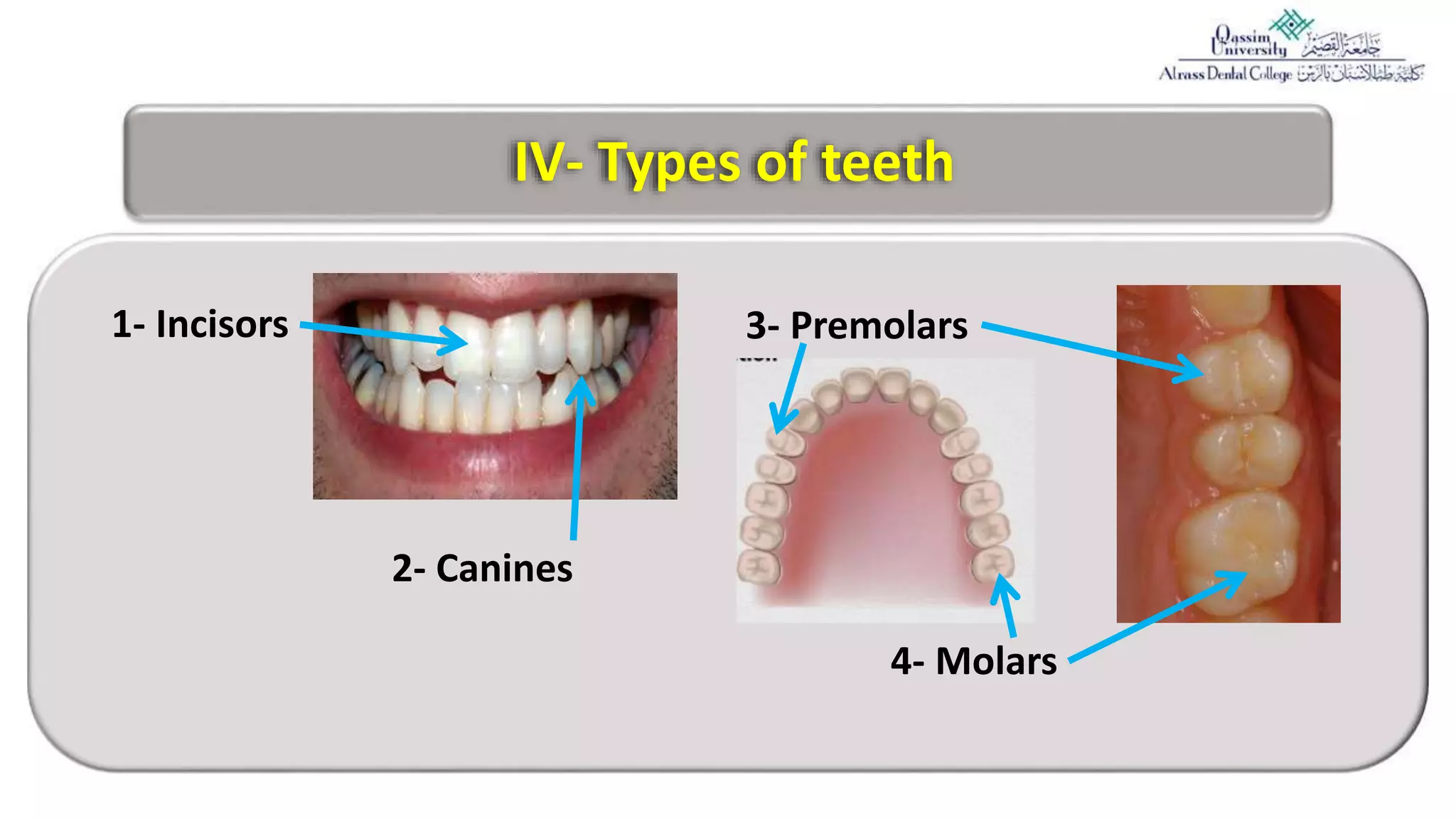 1= Teeth nomenclature, numbering, surfaces and angles.pptx
