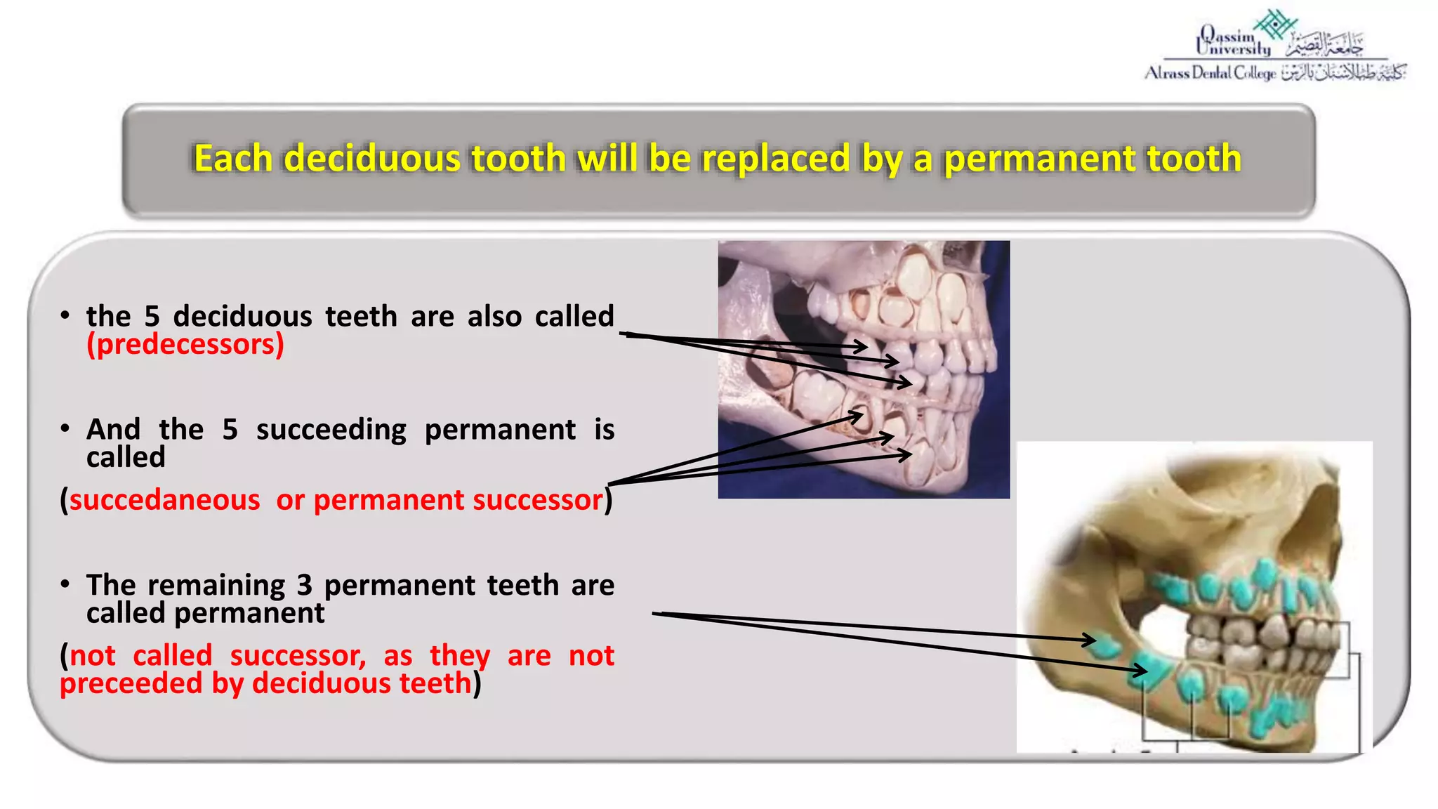 1= Teeth nomenclature, numbering, surfaces and angles.pptx