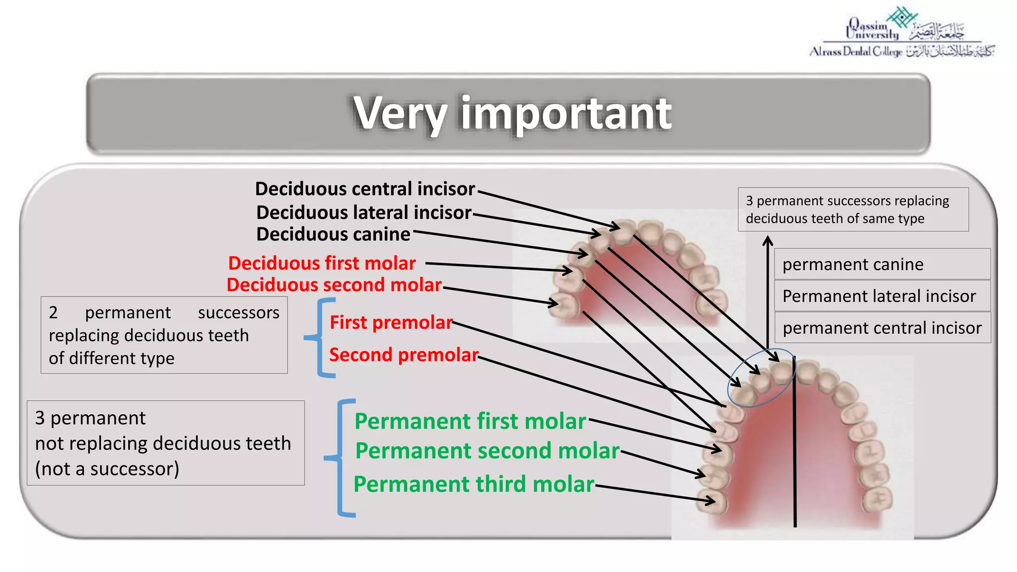 1= Teeth nomenclature, numbering, surfaces and angles.pptx