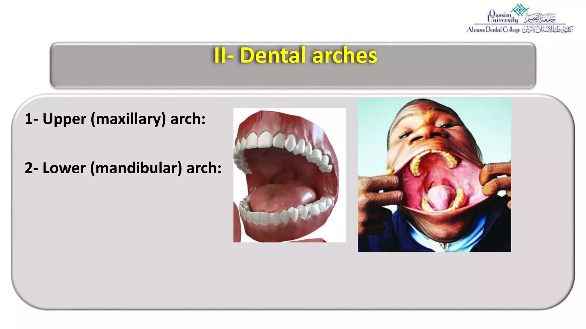 1= Teeth nomenclature, numbering, surfaces and angles.pptx