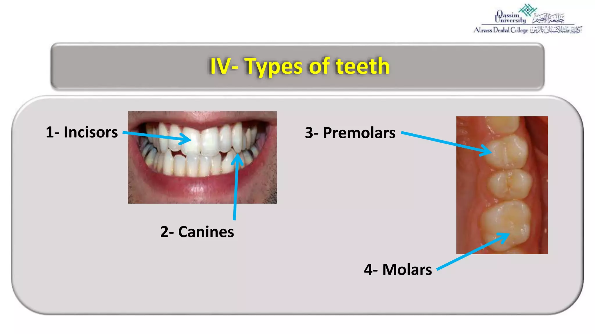 1= Teeth nomenclature, numbering, surfaces and angles.pptx