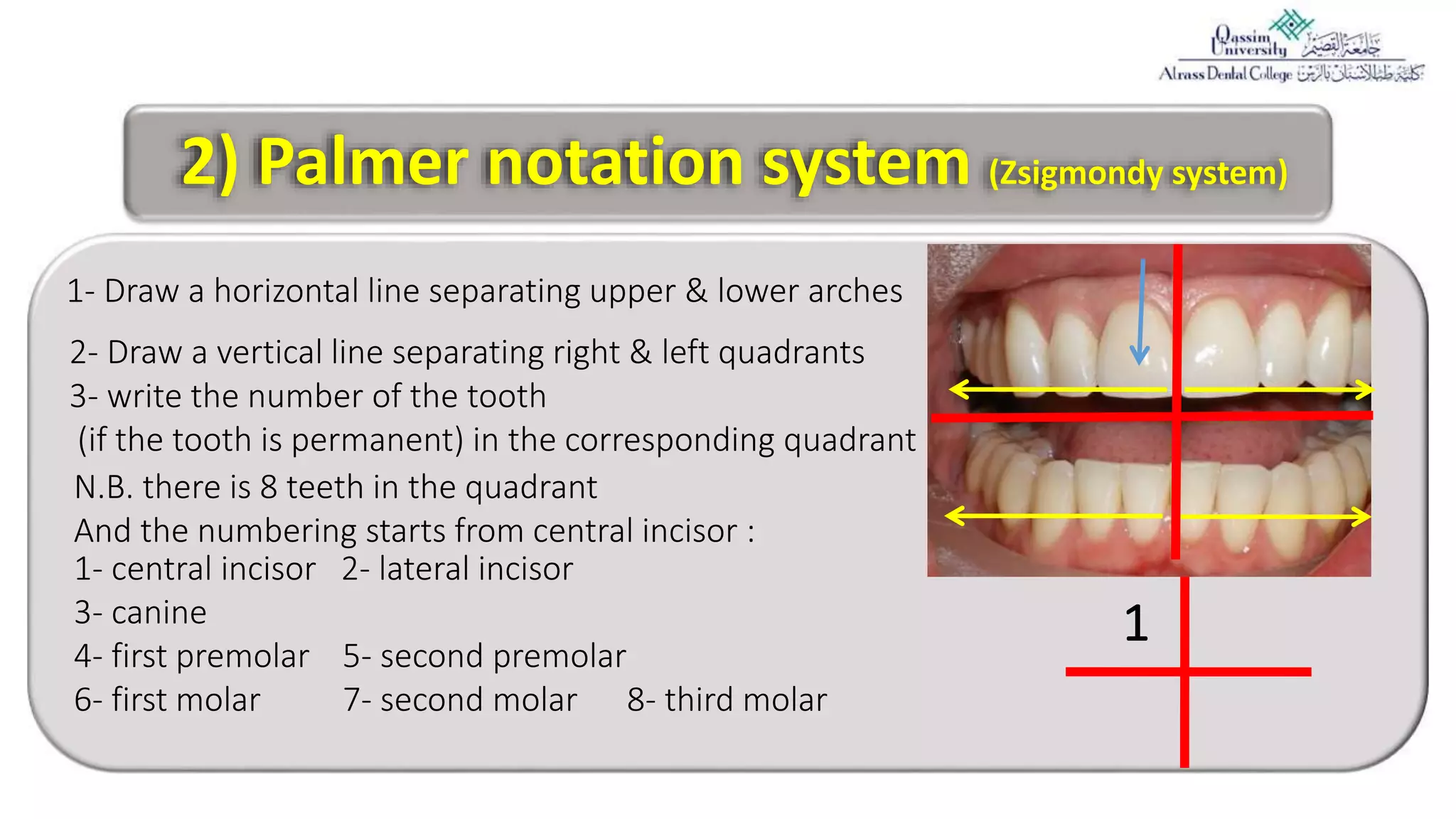 1= Teeth nomenclature, numbering, surfaces and angles.pptx