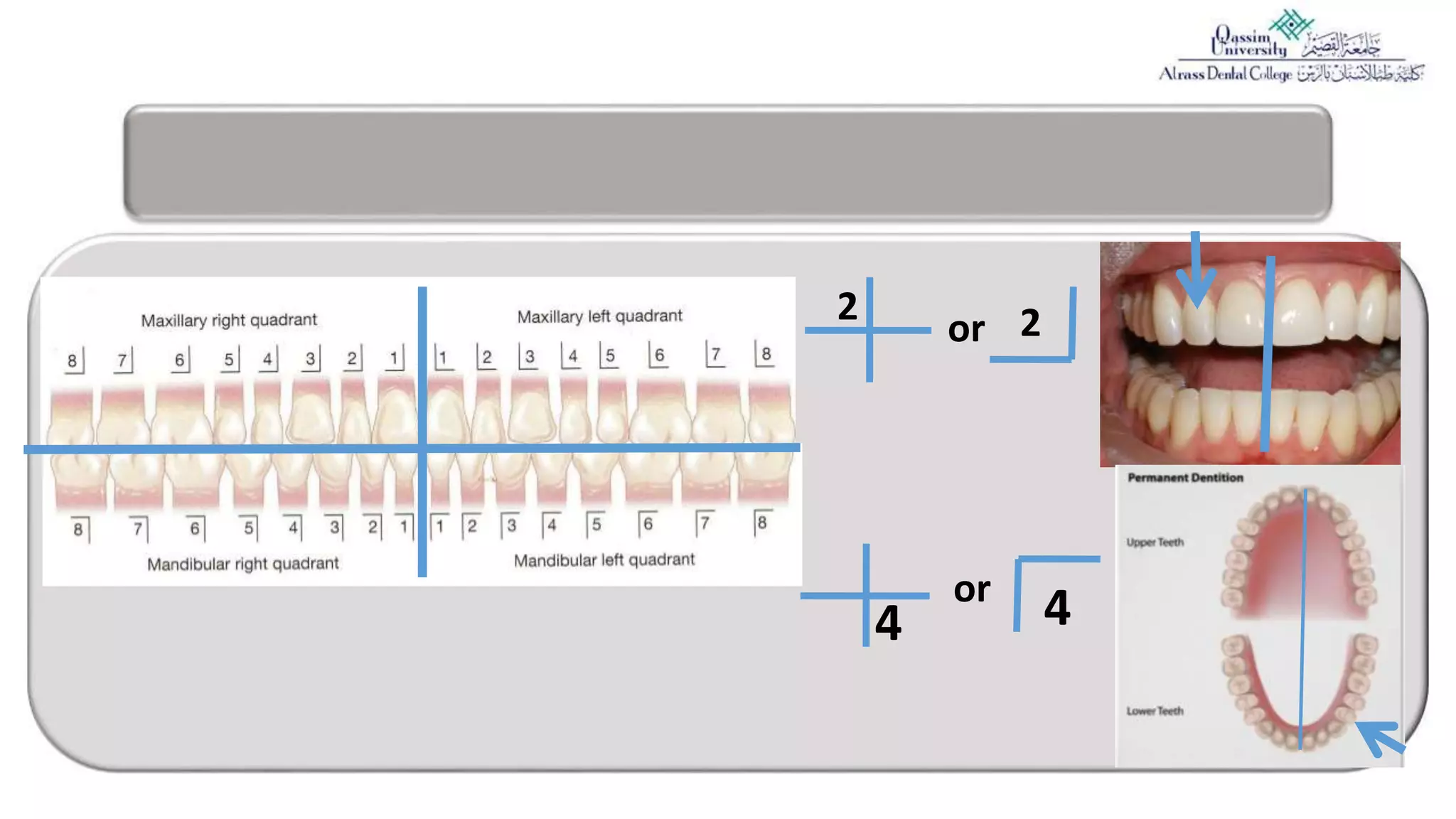 1= Teeth nomenclature, numbering, surfaces and angles.pptx