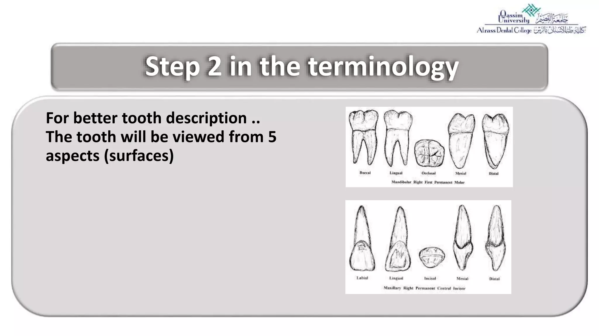 1= Teeth nomenclature, numbering, surfaces and angles.pptx