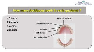 1= Teeth nomenclature, numbering, surfaces and angles.pptx
