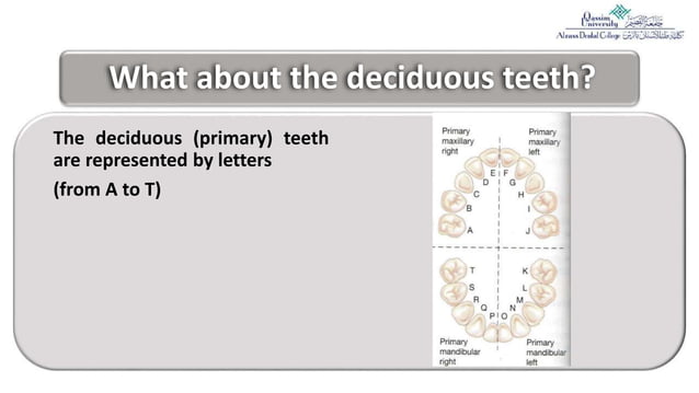 1= Teeth nomenclature, numbering, surfaces and angles.pptx
