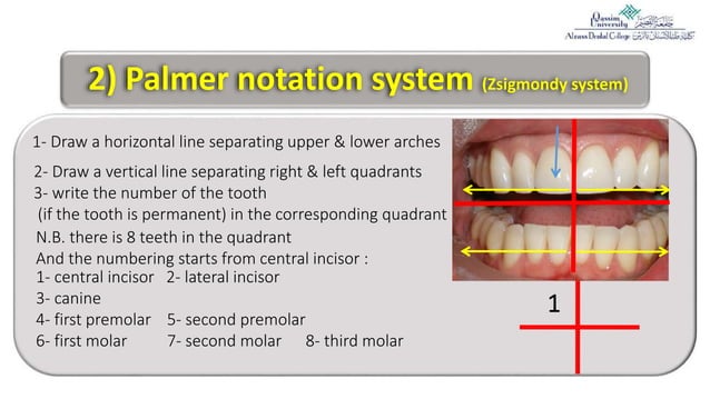 1= Teeth nomenclature, numbering, surfaces and angles.pptx