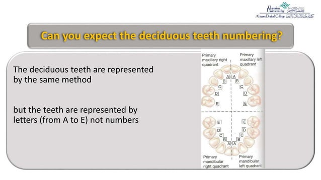 1= Teeth nomenclature, numbering, surfaces and angles.pptx