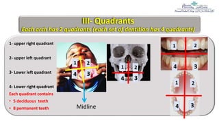 1= Teeth nomenclature, numbering, surfaces and angles.pptx