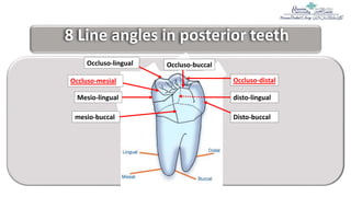 1= Teeth nomenclature, numbering, surfaces and angles.pptx