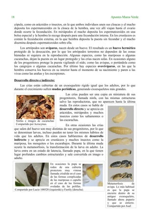1_Tema_09_Invertebrados.pdf