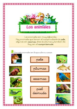 1° TEMA LOS HABITATS DE LAS PLANTAS Y LOS ANIMALES DE NUESTRA COMUNIDAD ...