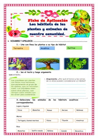 1° TEMA LOS HABITATS DE LAS PLANTAS Y LOS ANIMALES DE NUESTRA COMUNIDAD ...