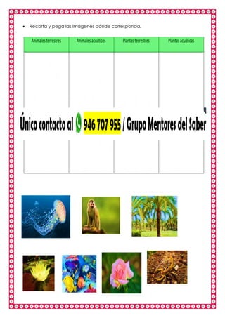 1° TEMA LOS HABITATS DE LAS PLANTAS Y LOS ANIMALES DE NUESTRA COMUNIDAD ...