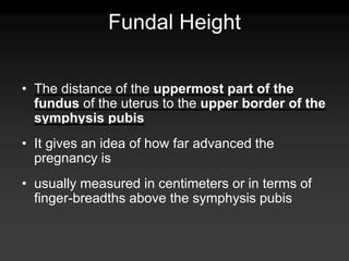 Obstetric Terminology | PPTX