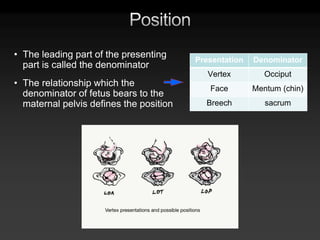 Obstetric Terminology | PPTX