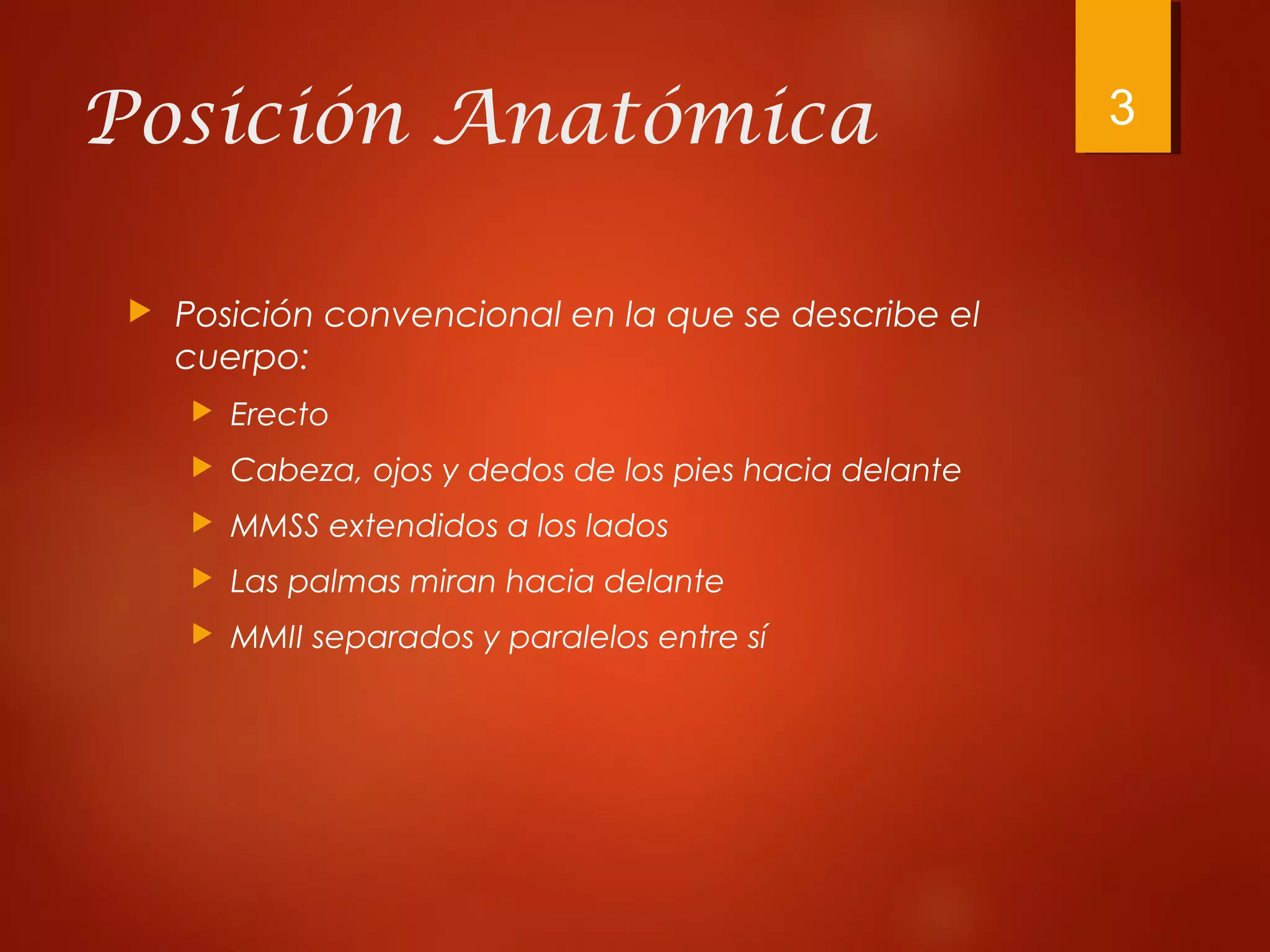 1 terminos de posicion y direccion | PPT