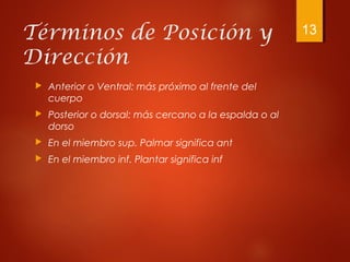 1 terminos de posicion y direccion | PPT