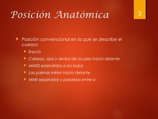 1 terminos de posicion y direccion | PPT