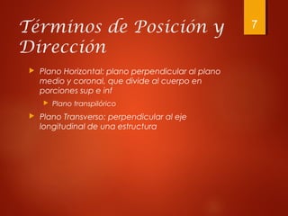 1 terminos de posicion y direccion | PPT