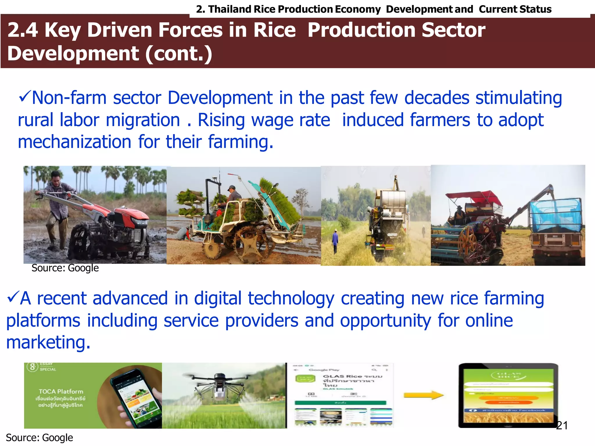 (1) Thailand Rice Value Chain December 1 2022.pdf